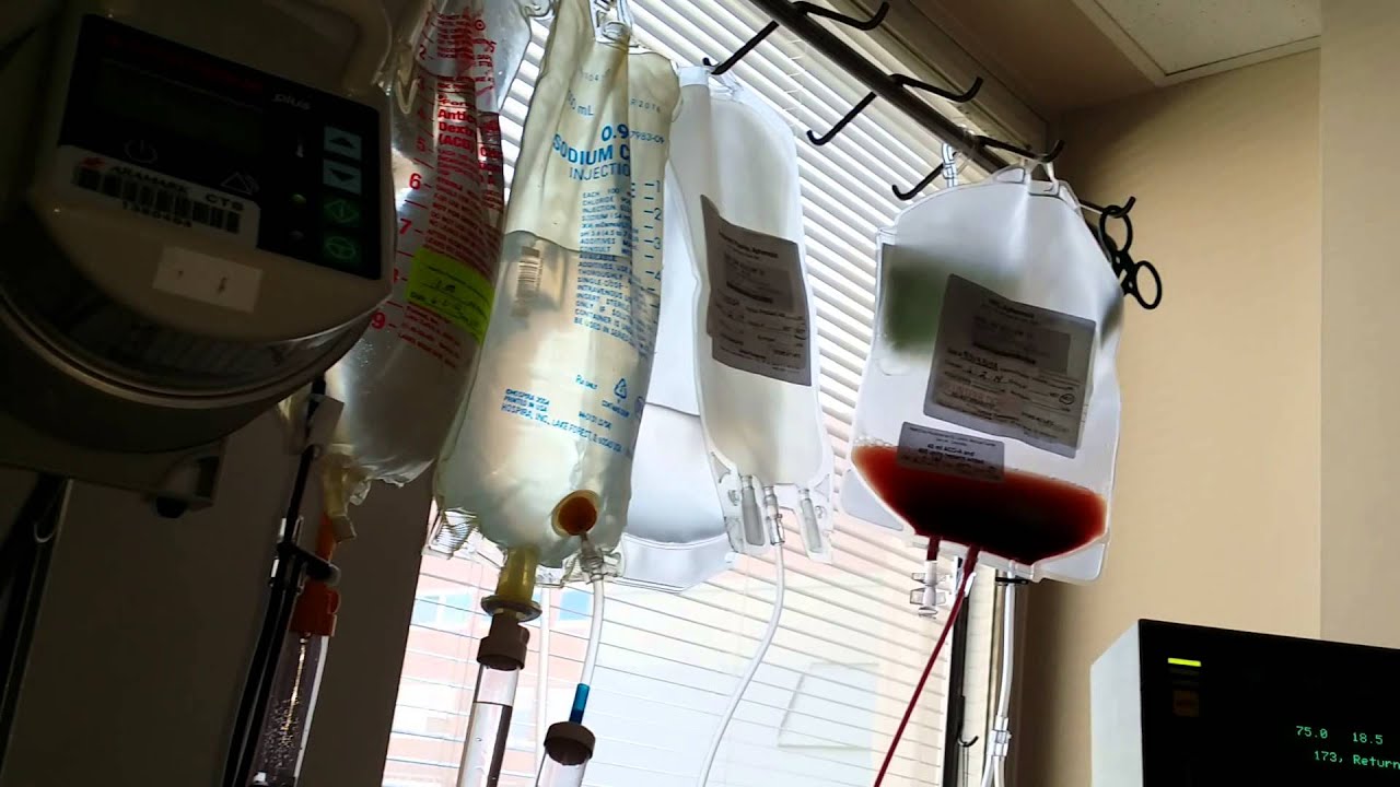 Stem Cell Collection - YouTube