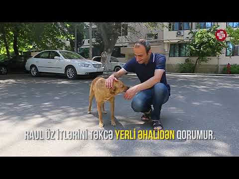 “Onlar heç təsəvvür edə bilmirlər ki, heyvanların da hüquqları var”