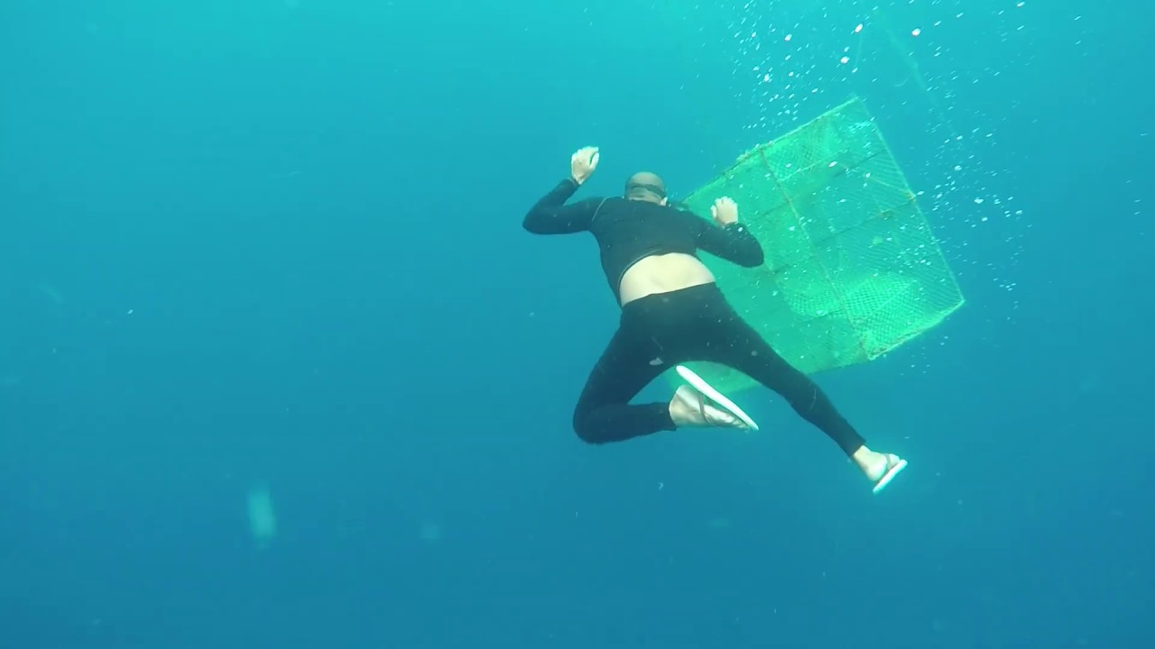 Fish Cage or Bubu - Maya maya, Pogapo, Lipte Fish Catch - Philippines ...