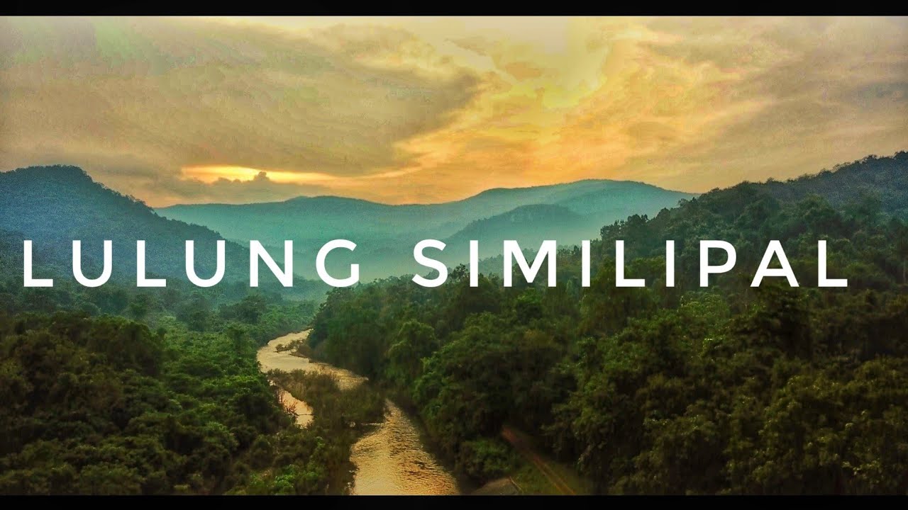 EPIC LULUNG FOREST DRONE SHOTS - YouTube