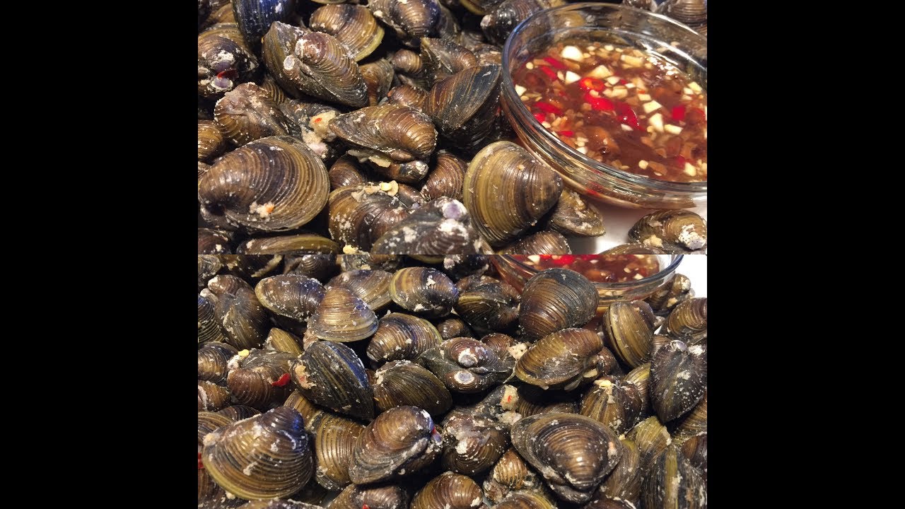 Cambodian food-Sun Dried Clams-English - YouTube
