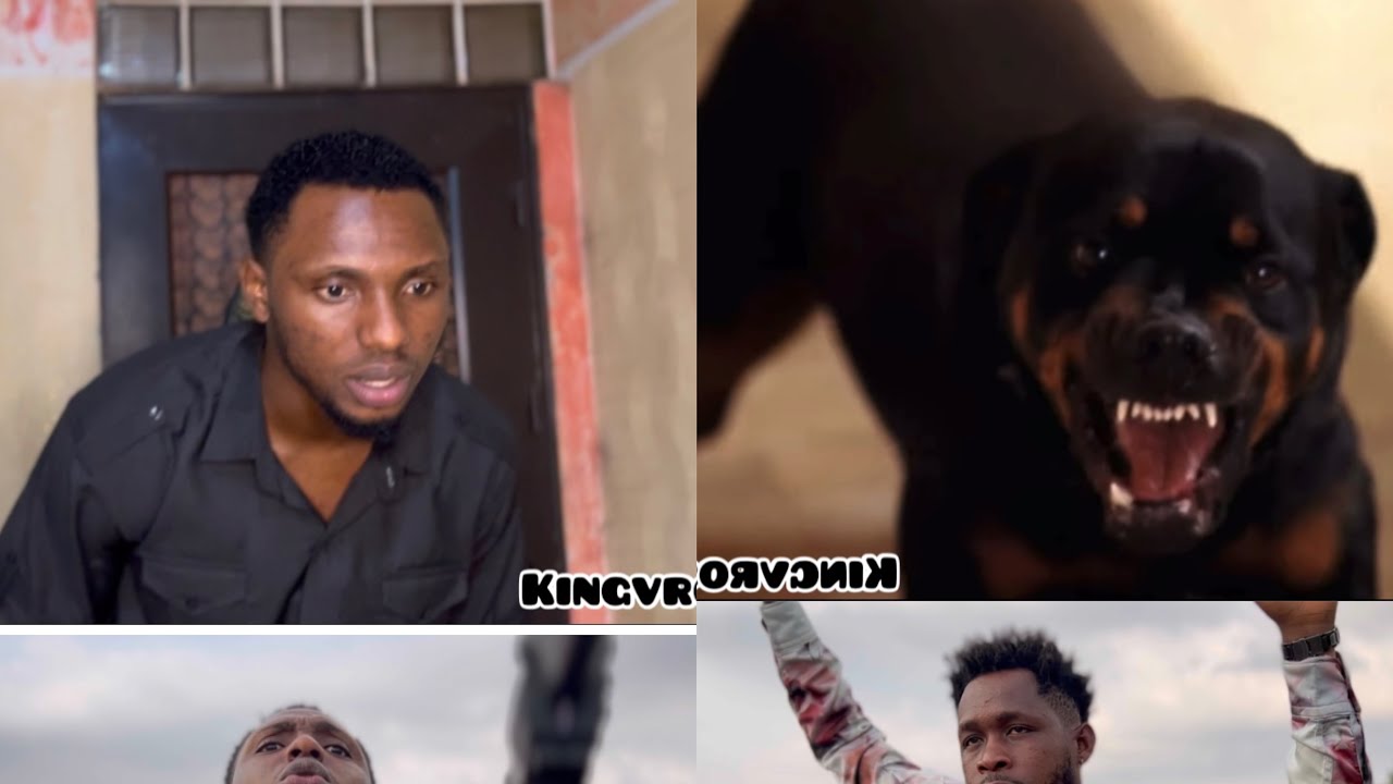 Dog 🐕 vs police 👮‍♀️ my new job cost me much - YouTube