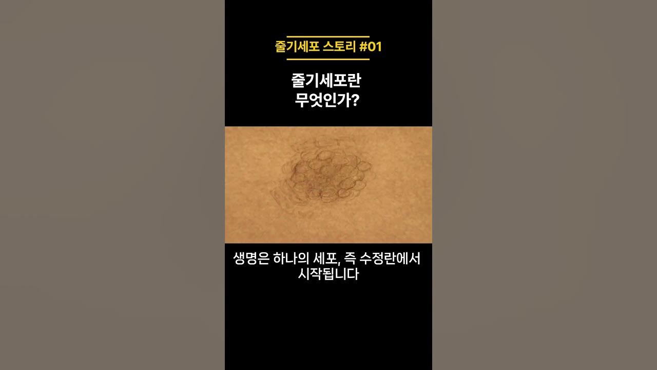 줄기세포란 무엇인가 01 줄기세포란 무엇이고 어디에서 왔으며 우리는 줄기세포에 대해 실제로 무엇을 알고 있습니까 줄기세포 연구의 세계에 대한 소개입니다