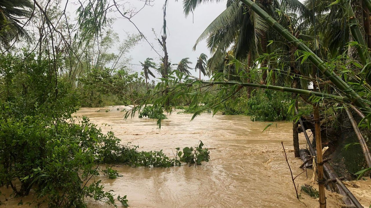 before and after bagyong tisoy sa albay - YouTube