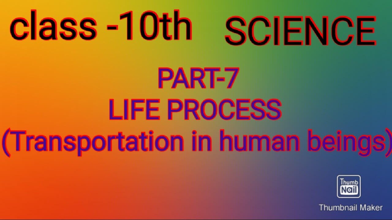 CLASS 10th Chapter LIFE PROCESS Part-7 (Transportation in human being ...
