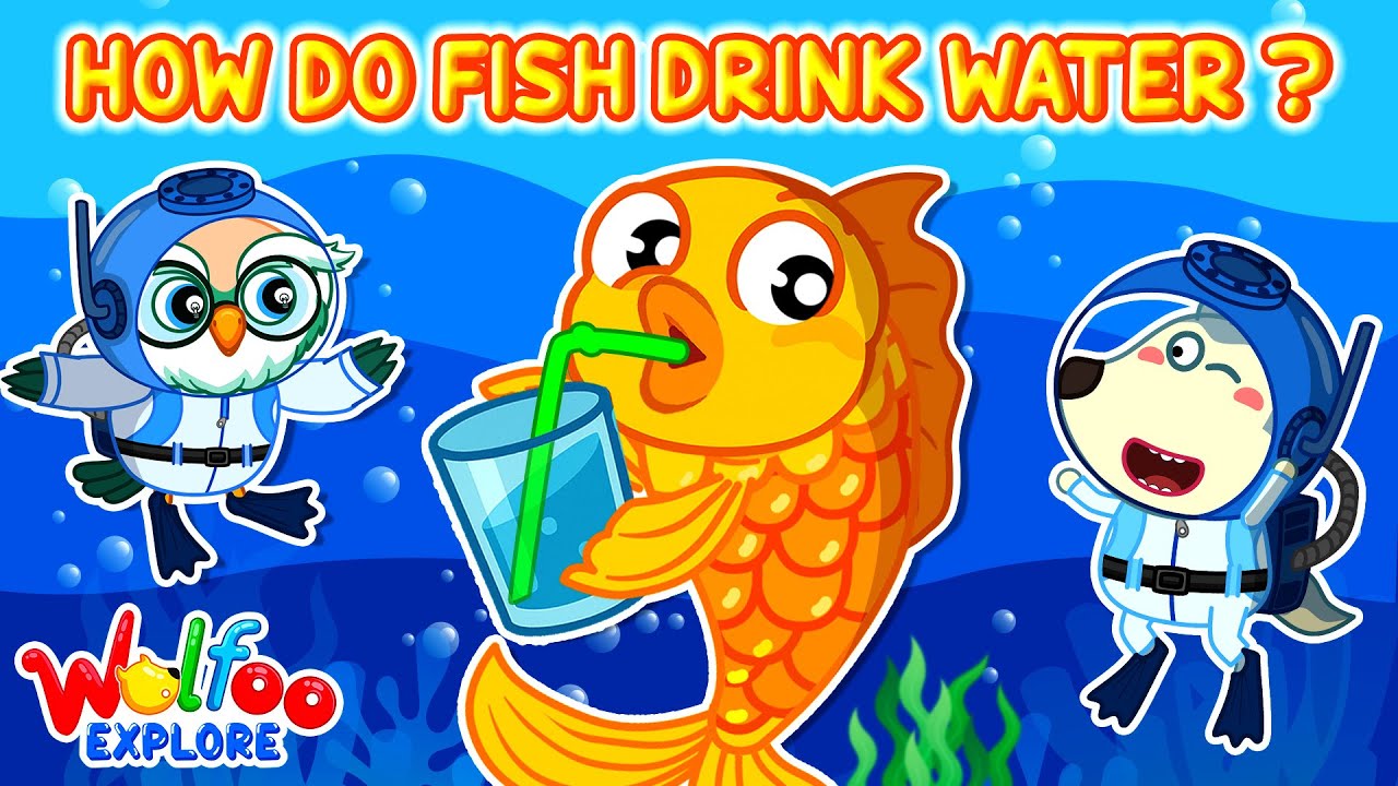 How Do Fish Drink Water? 🐟💧 | 🔍 Wolfoo Explore - Animals | Educational ...
