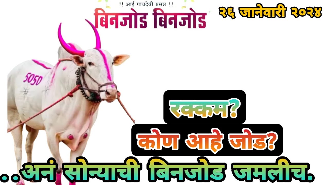 sonya 5050 || sonya bail sharyat || मोठा सोन्या पुन्हा बिनजोडला ?#video ...