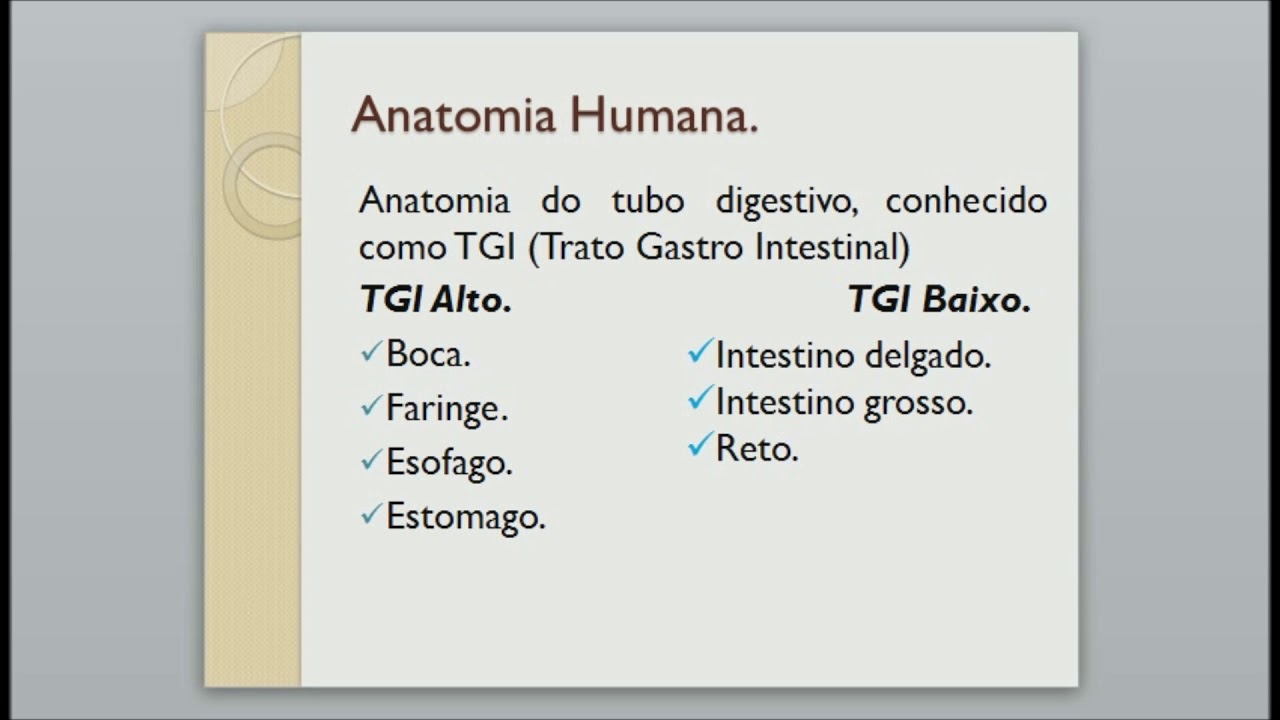 Anatomia descomplicada TGI Alto e TGI Baixo - YouTube