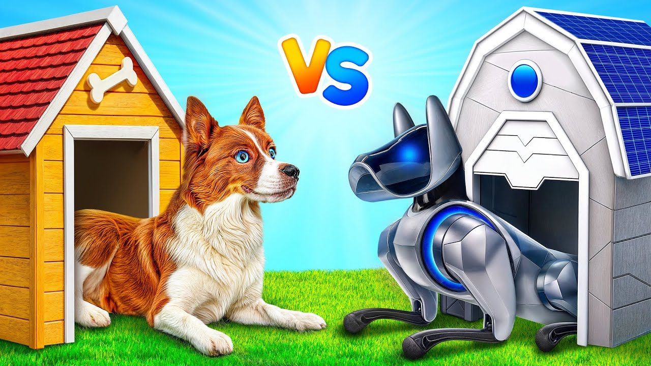 We Built a House For Pets | Funny Pet Pranks by Multi DO Smile - YouTube