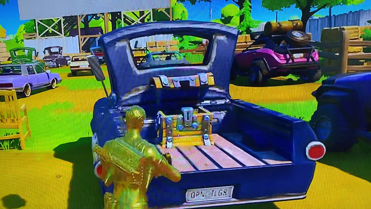 Me and my cat finally getting a victory royale in duos - YouTube