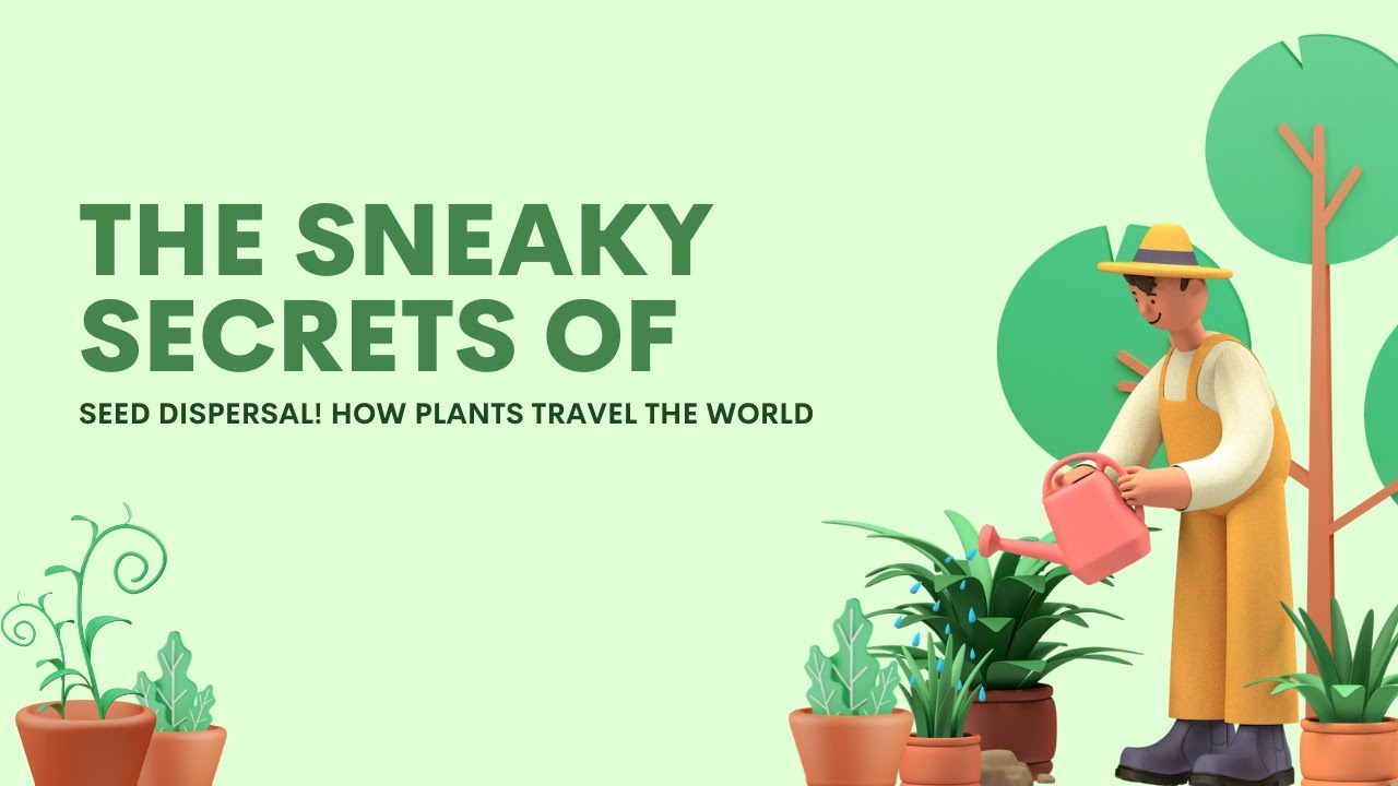 Seeds on the Move! The Sneaky Secrets of Seed Dispersal (For Kids ...