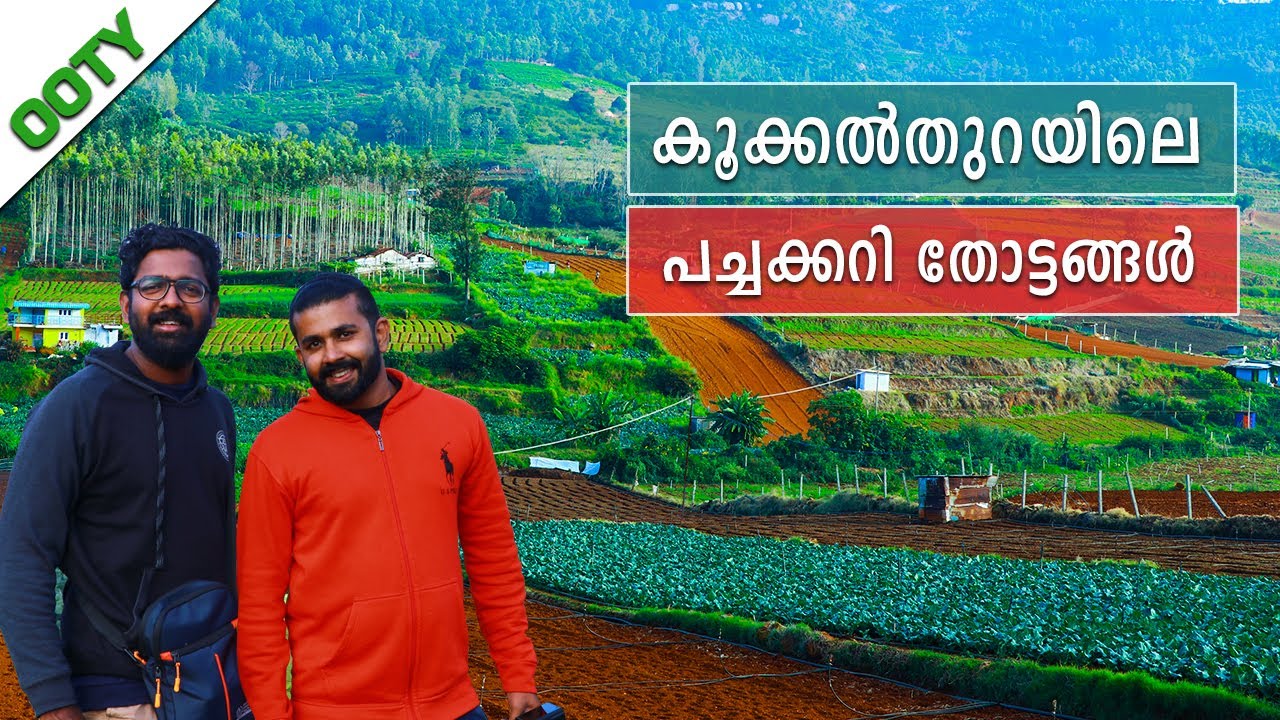KOOKKALTHURAI VILLAGE | VEGITABLE FARMING | OOTY VLOG #57 - YouTube
