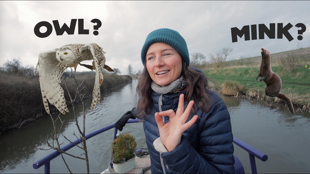 Spotting Rare Animals on the English Canals - YouTube