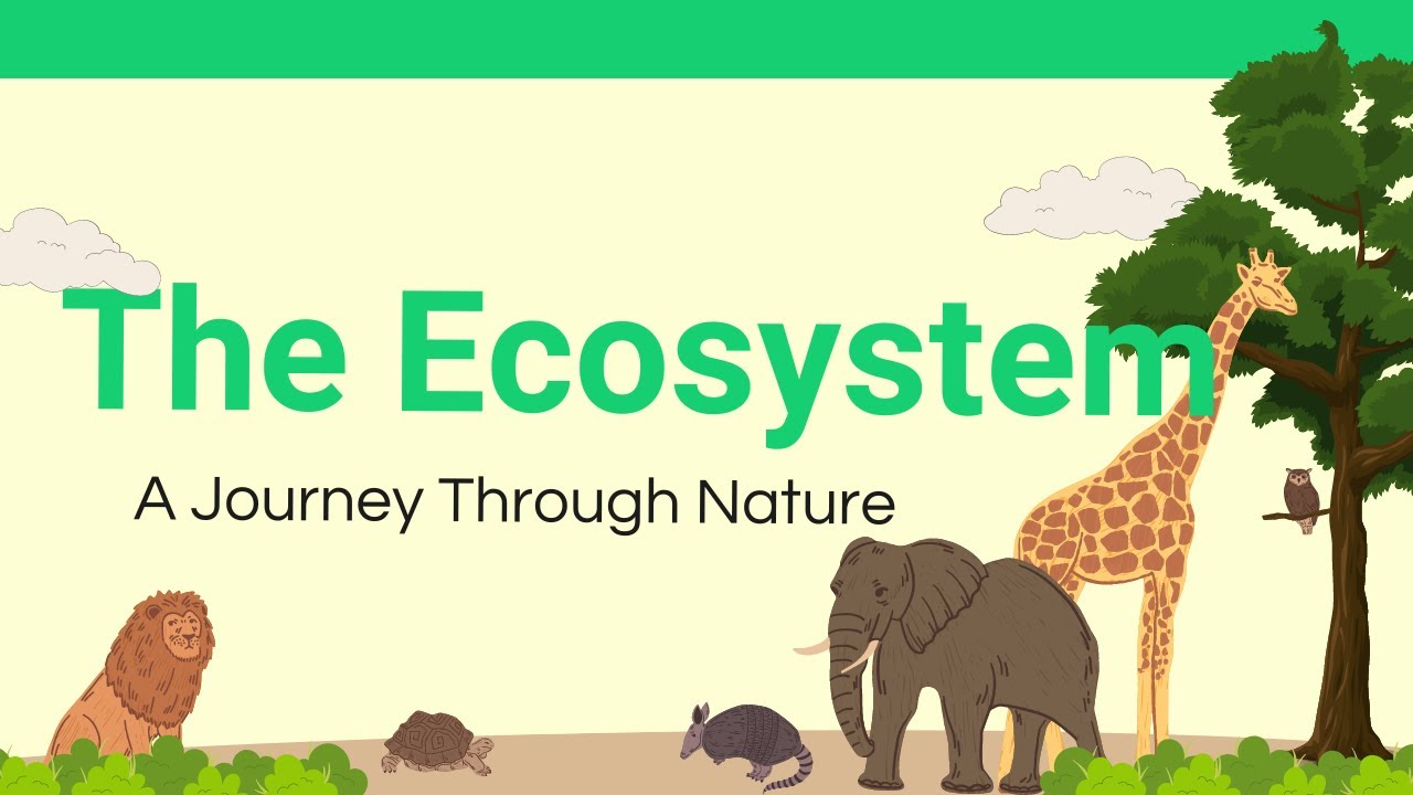 The Ecosystem (Tagalog) - YouTube