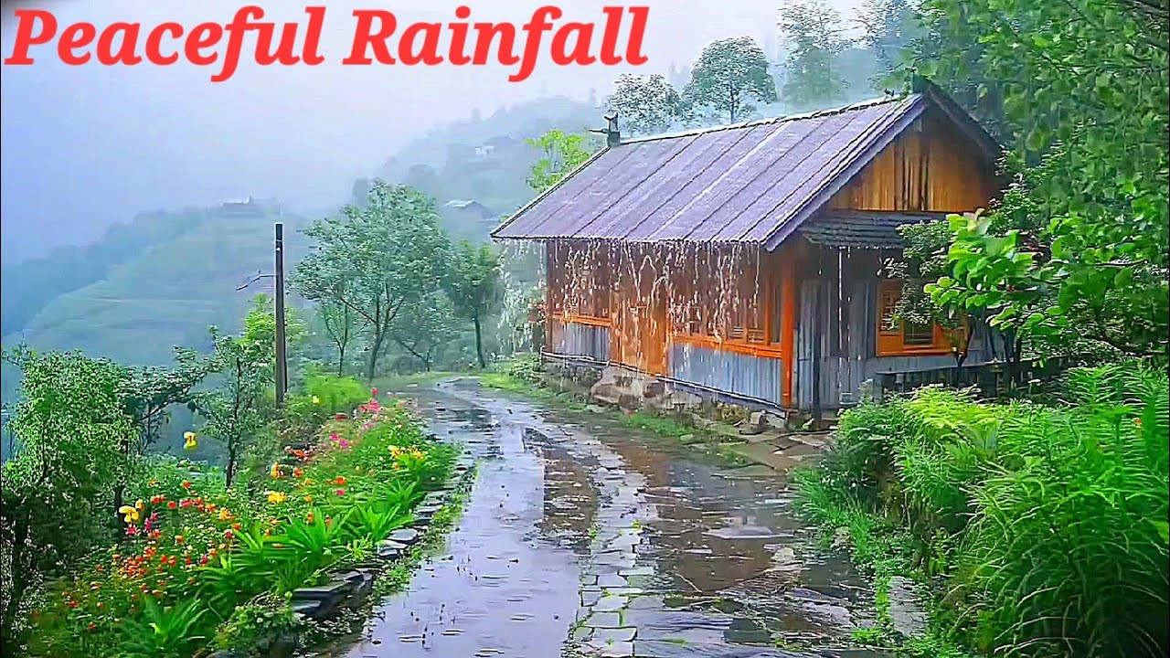 😌 Relaxing Rain Video 😌 - Peaceful Place - YouTube