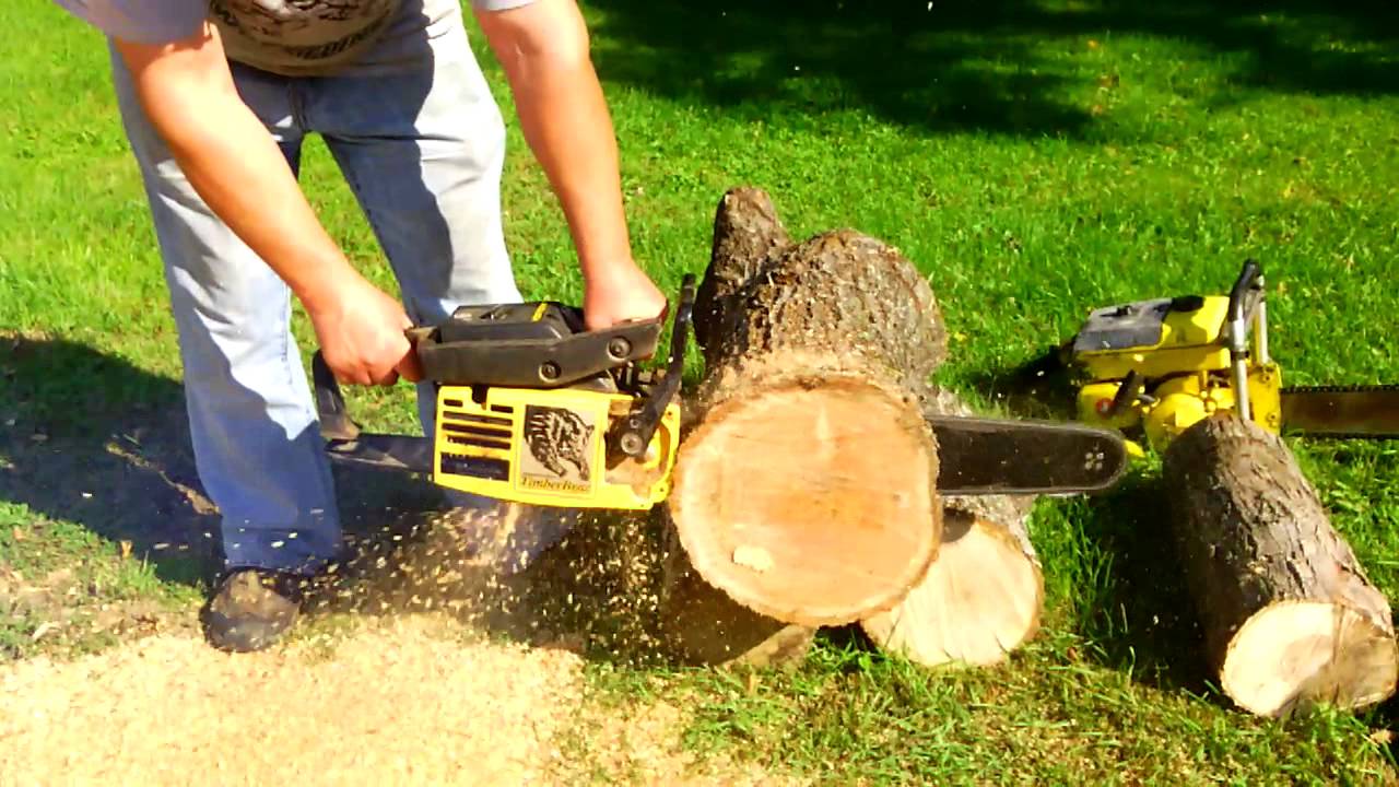 mcculloch timber bear, real nice low hour saw. - YouTube