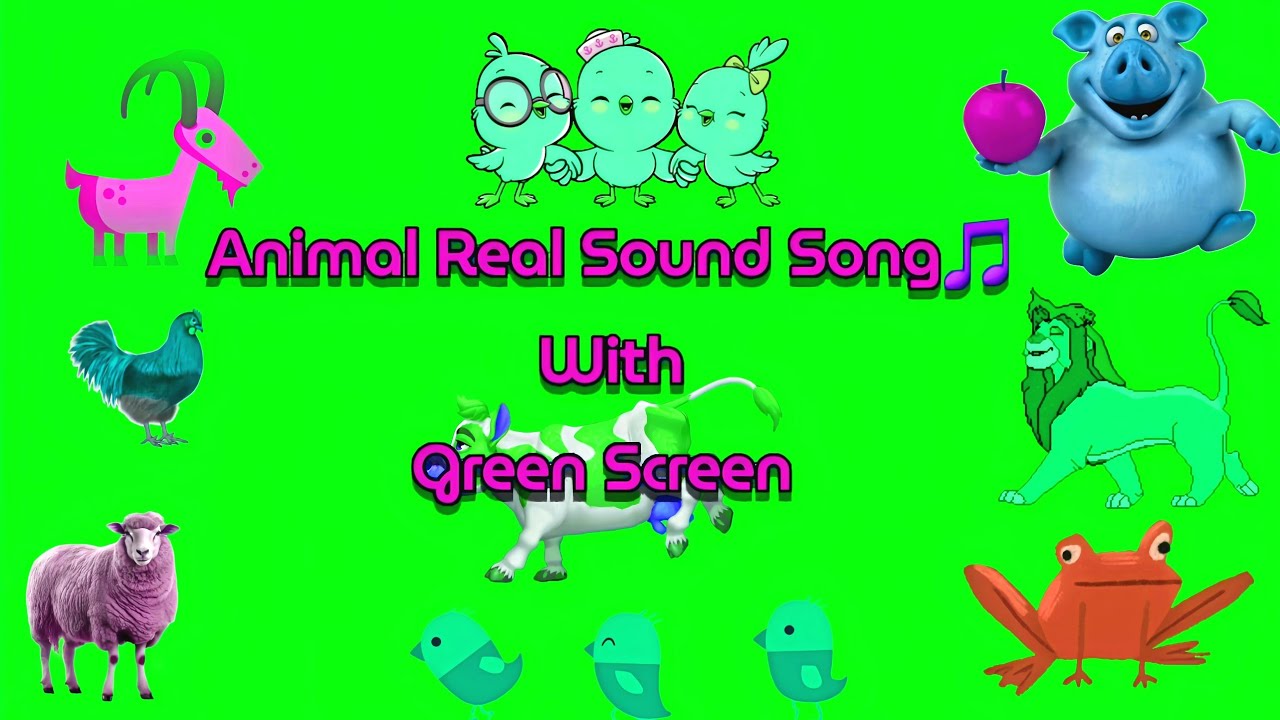 Animal Real Sound Song With Green Screen Animation - YouTube