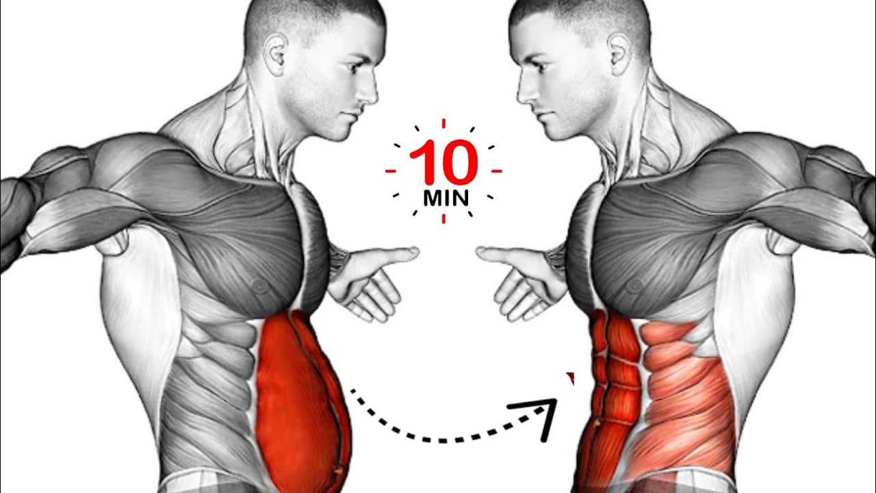 10 Minutes Abs Workout for Beginners (No Equipment Needed) - YouTube
