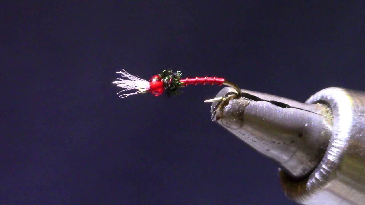 Rojo Midge - YouTube