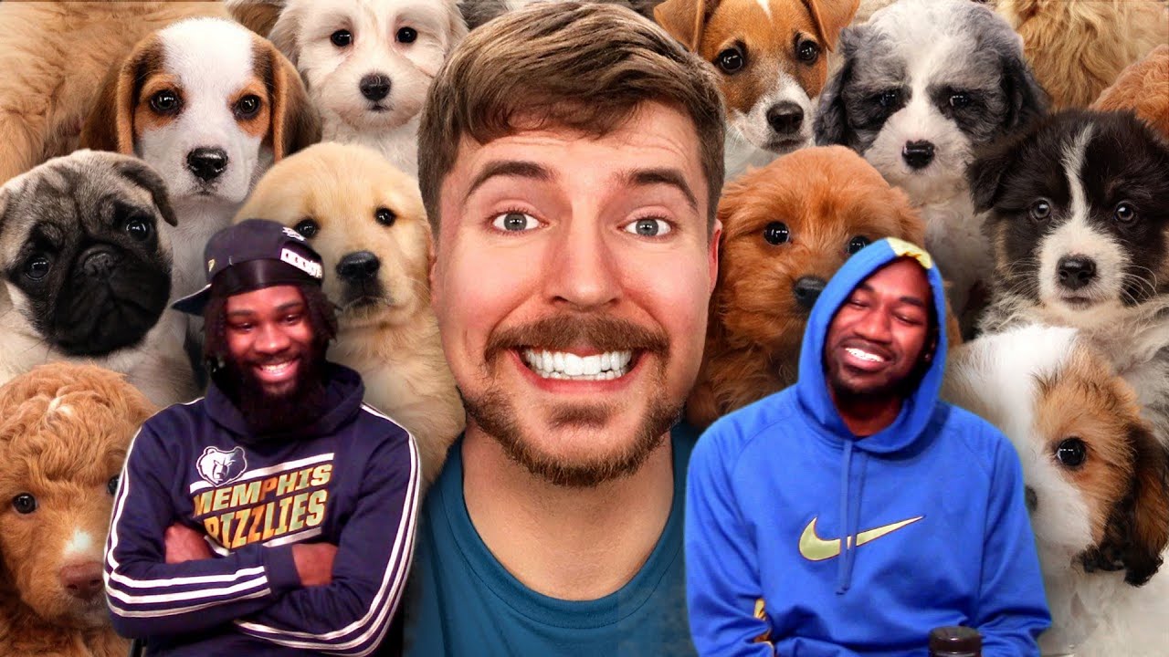 MR BEAST Rescued 100 Abandoned Dogs! THIS VIDEO REALLY MADE US SMILE ...