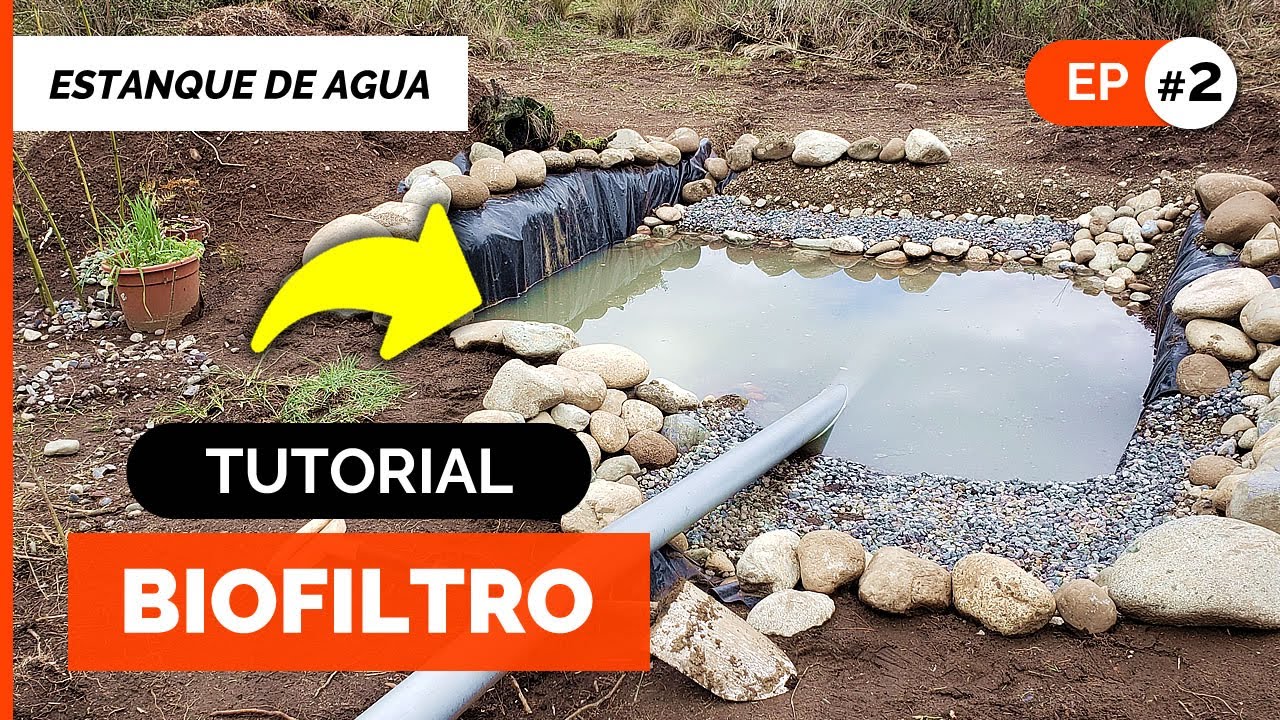 CÓMO HACER UN BIOFILTRO CASERO 💧🌱 Estanque para Tratamiento de Aguas ...