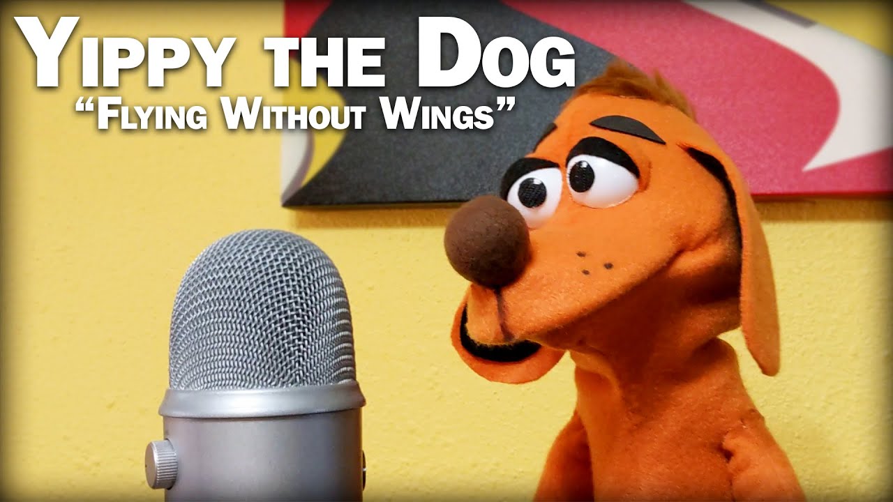 Yippy the Dog Sings "Flying Without Wings" - YouTube