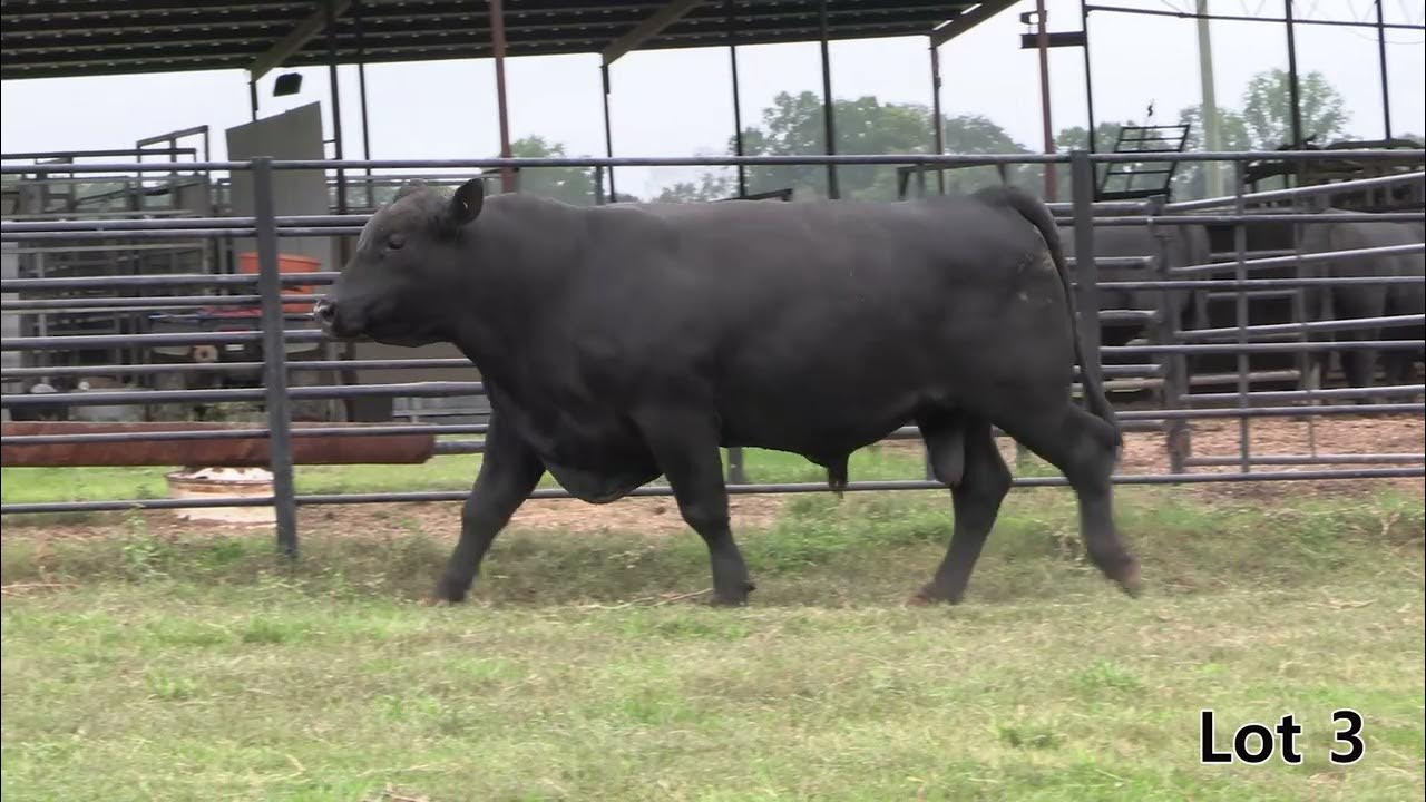 McCloud Farms Lot 3 - YouTube