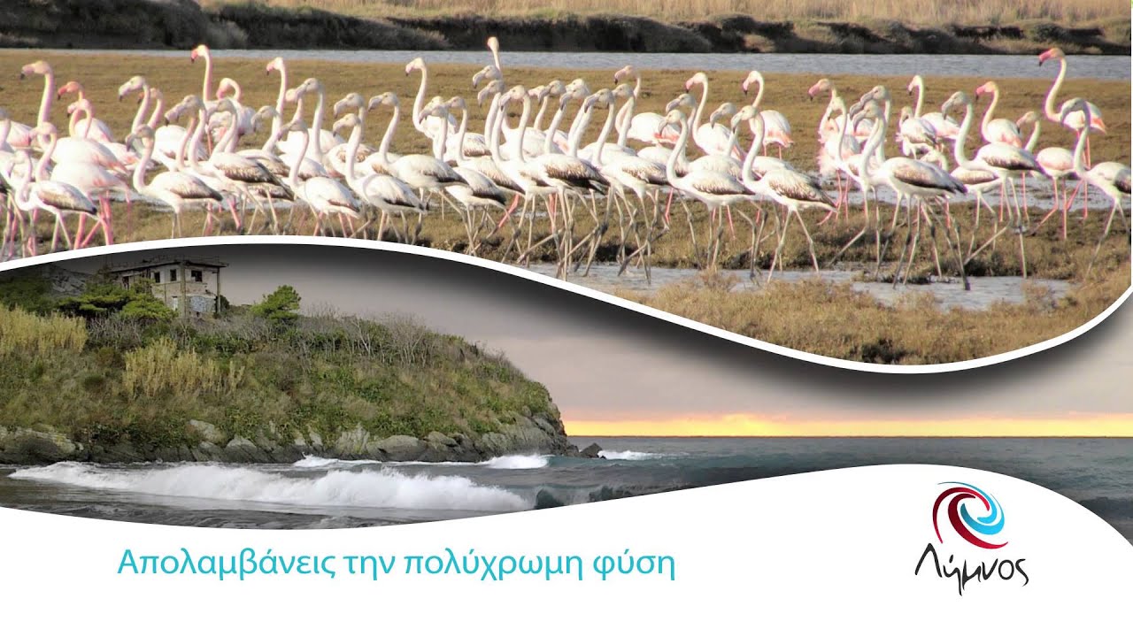 Limnos video full version - YouTube