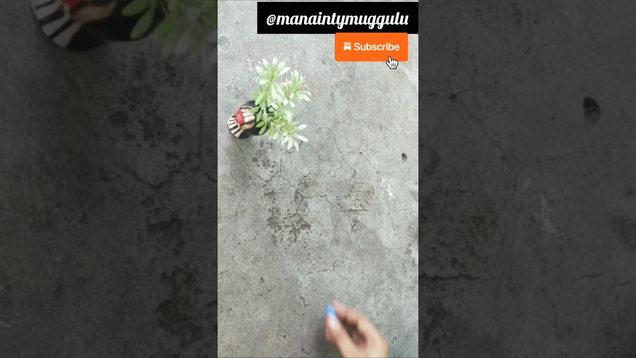 Colourfull rangoli for small spaces @manaintymuggulu1999 - YouTube