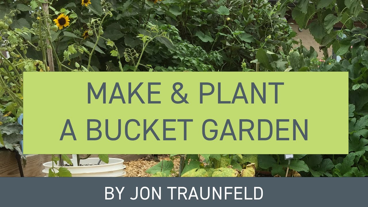 Make and Plant a Bucket Garden - YouTube