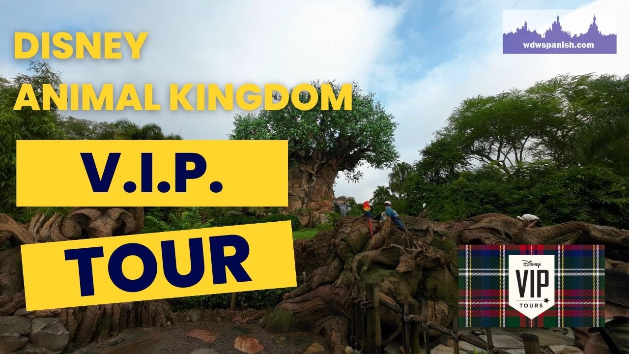 DISNEY ANIMAL KINGDOM - VIP TOUR - YouTube