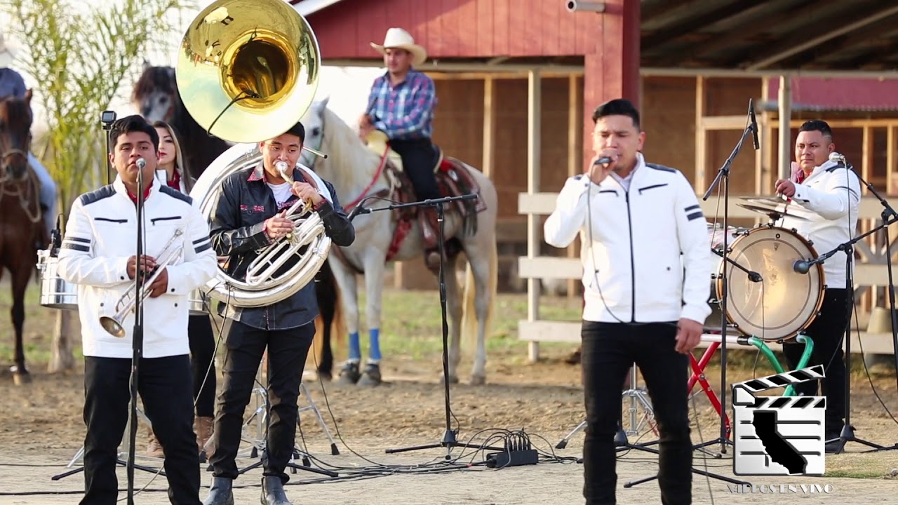 Tamborazo 380 -Popurrí en VIVO - YouTube