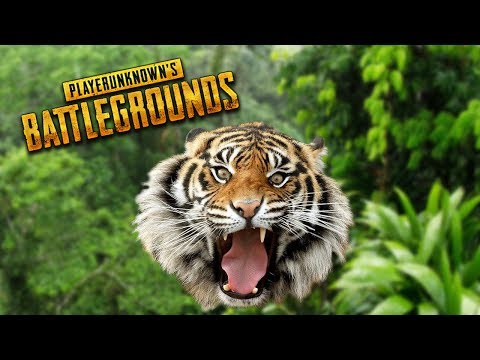 ORMAN KAPLANLARI - PUBG