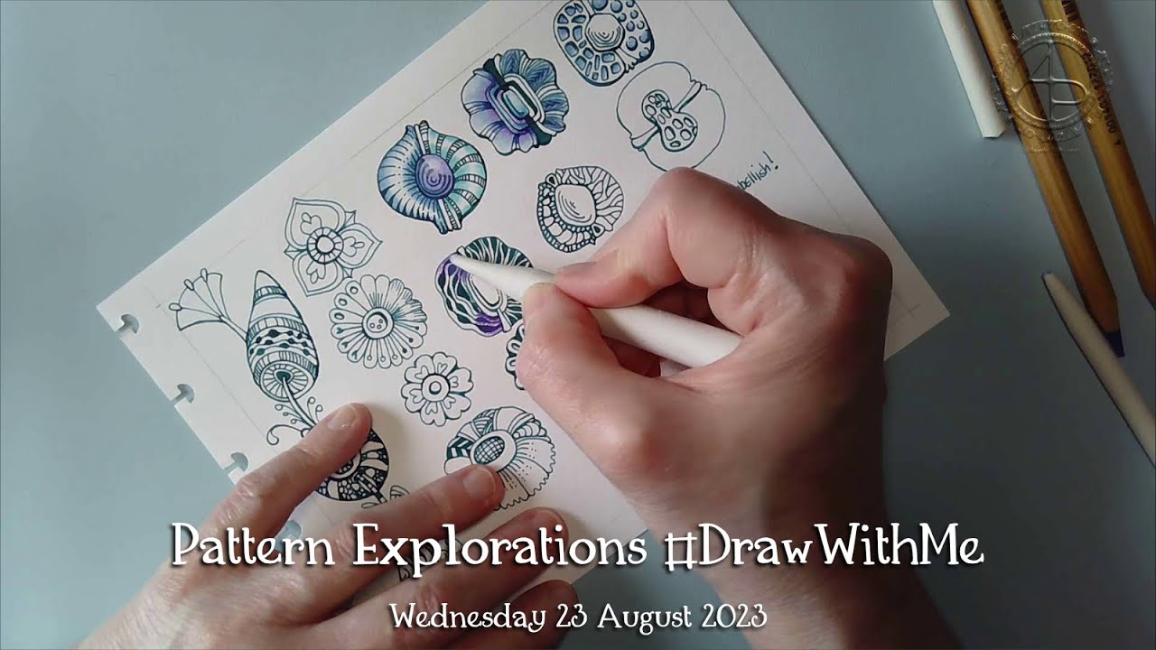 Pattern Explorations - Seeds, seed pods and flowers - 23 August 2023 #DrawWithMe - YouTube