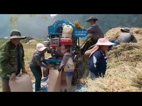 hnub no kuv niam thiab kv txiv cov nus cov nyab lawv mu ntaus plej nram liaj nawb - YouTube