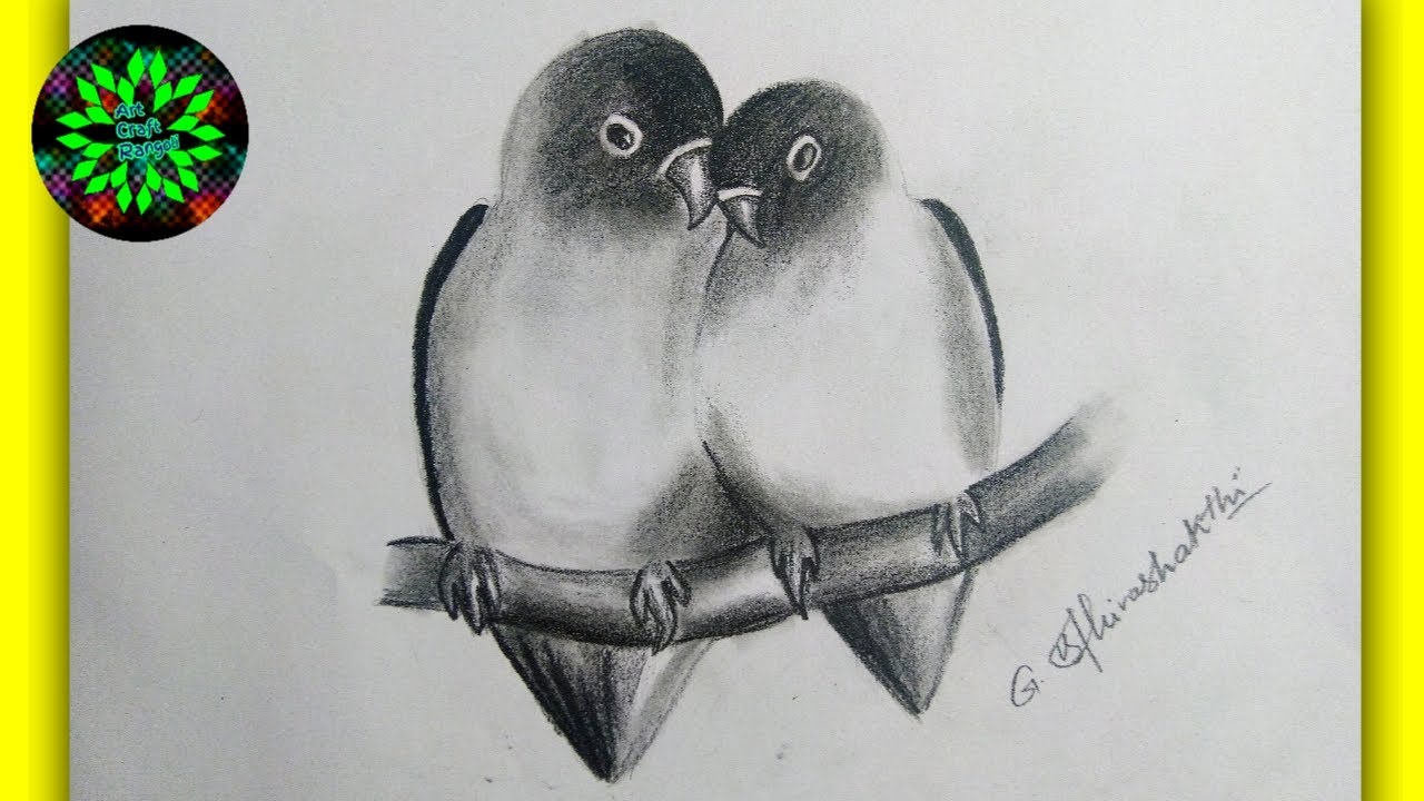 Two parrots in love by pencil sketch | valentine's day drawing step by ...