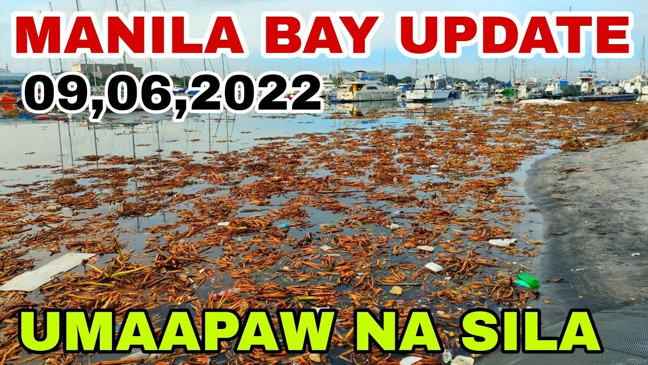 Manila Bay Myc Update,Umaapaw Na Sila! Miz July - YouTube