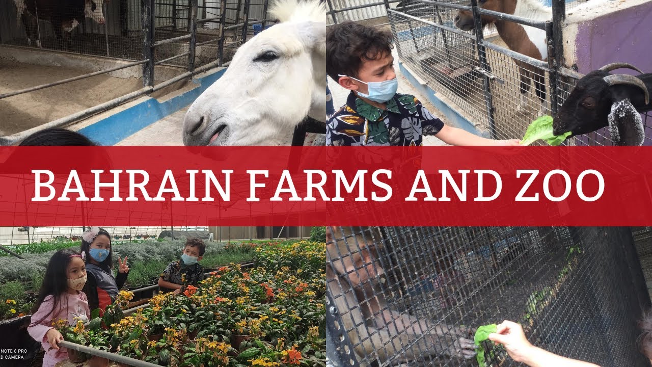 We Visited Farms and Zoo in BAHRAIN | HANGING GARDEN | TASNEEM FARM and ...