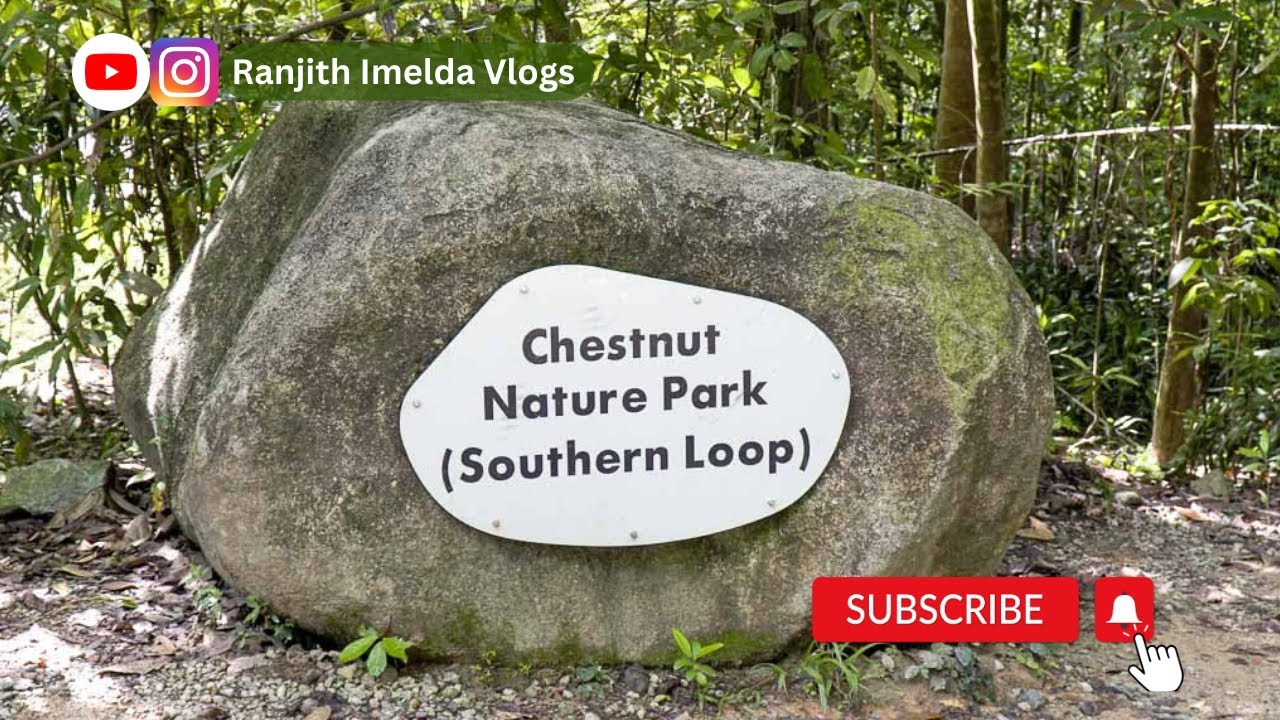 Chestnut Nature Park Southern Loop | Hiking Trail #chestnut # ...