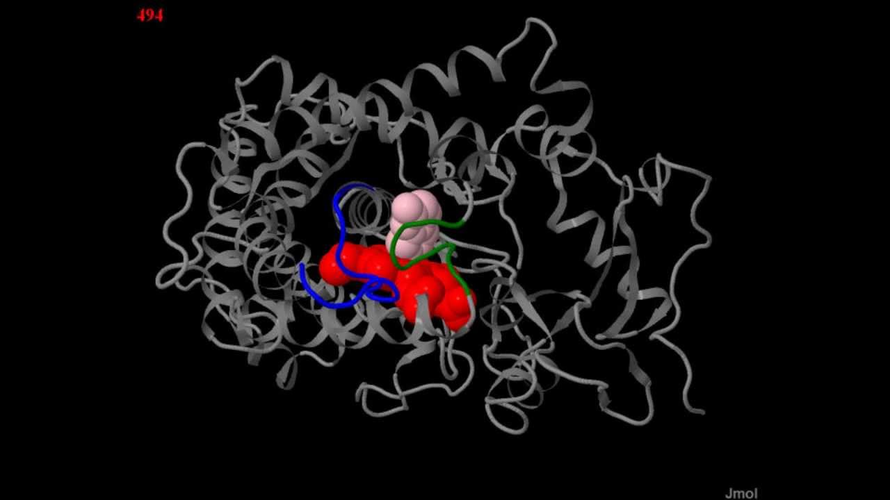 Cytochrome P450 Enzyme 2A6 - YouTube