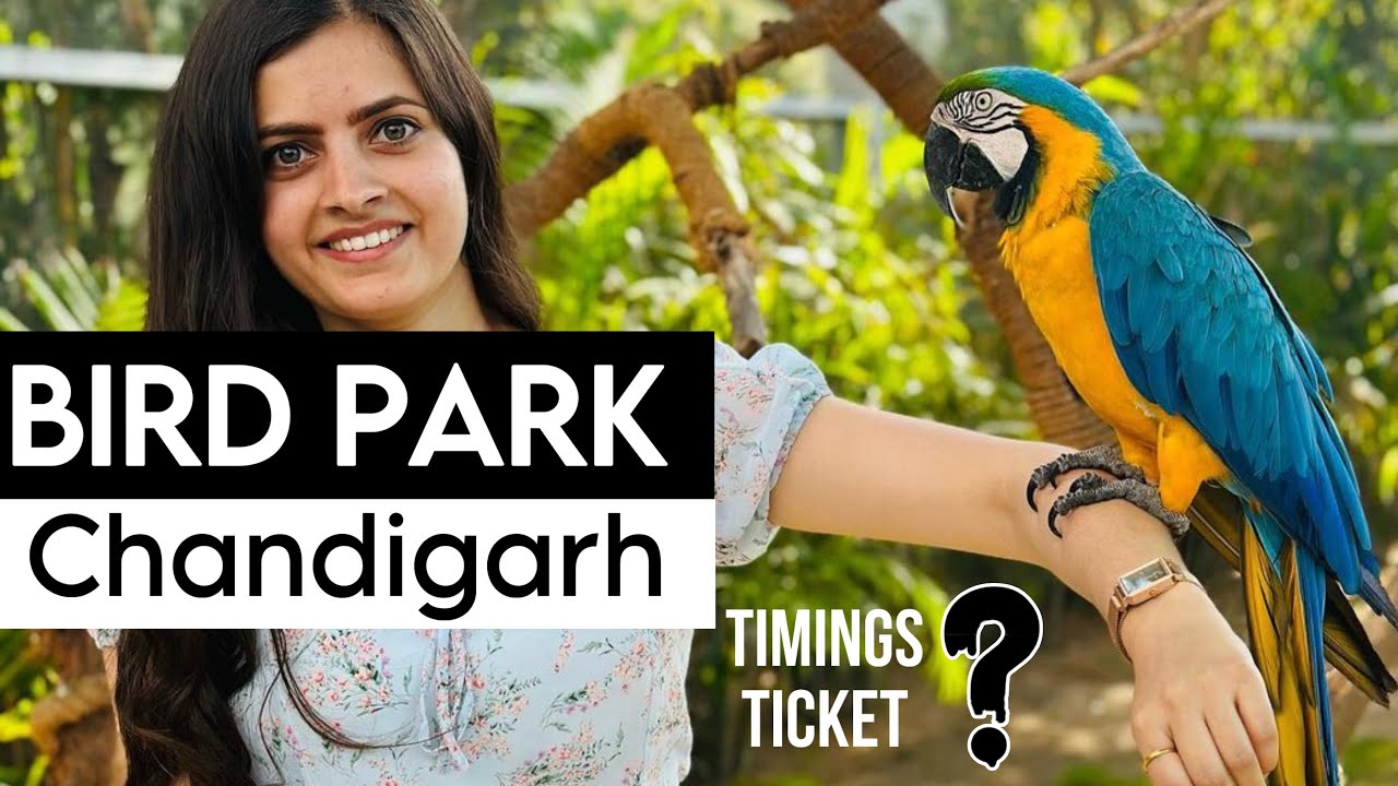 Bird Park Chandigarh | Must Visit Place in Chandigarh | Tourist Place ...