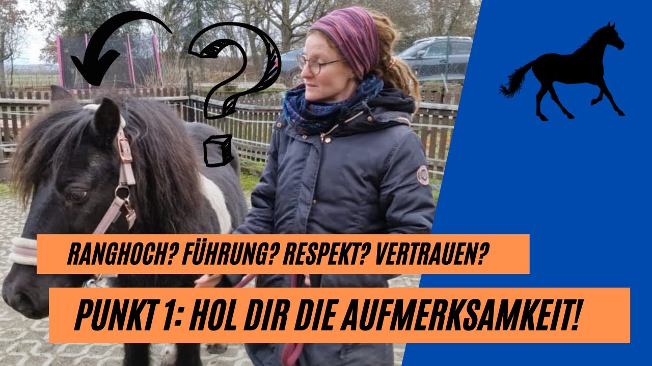 Punkt 1 praktisch erklärt: Wie bekommst du die Aufmerksamkeit deines ...