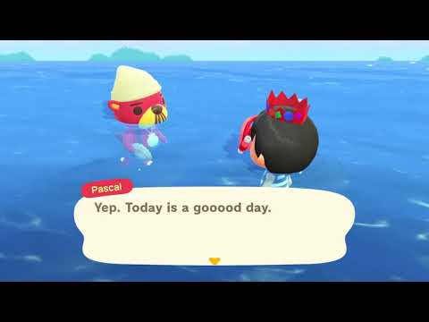 18 PASCAL Phrases and Rewards (Animal Crossing New Horizons) - YouTube
