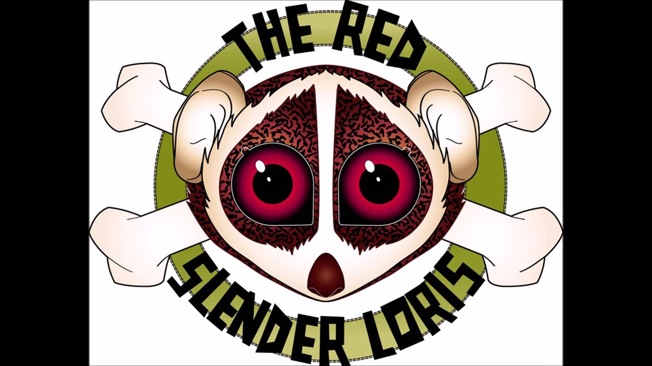 Time Machine - The Red Slender Loris - YouTube