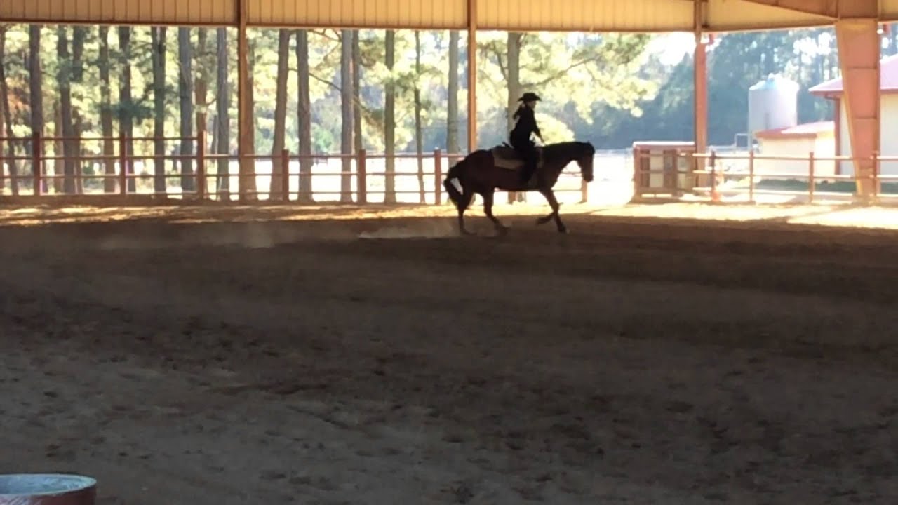 Farley Wickre Reining NCEA Reining Recruiting Video IEA December - YouTube