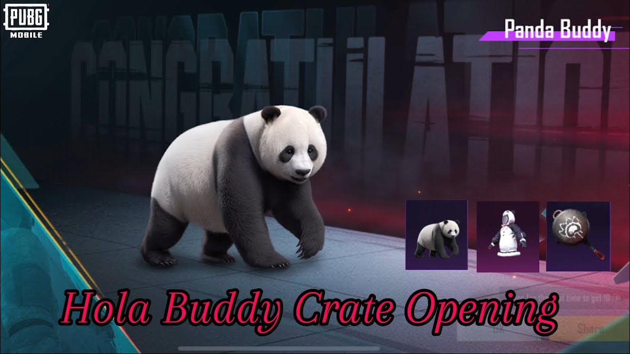 New Hola Buddy Lucky Spin Crate Opening | Panda Buddy | Thunderclap ...