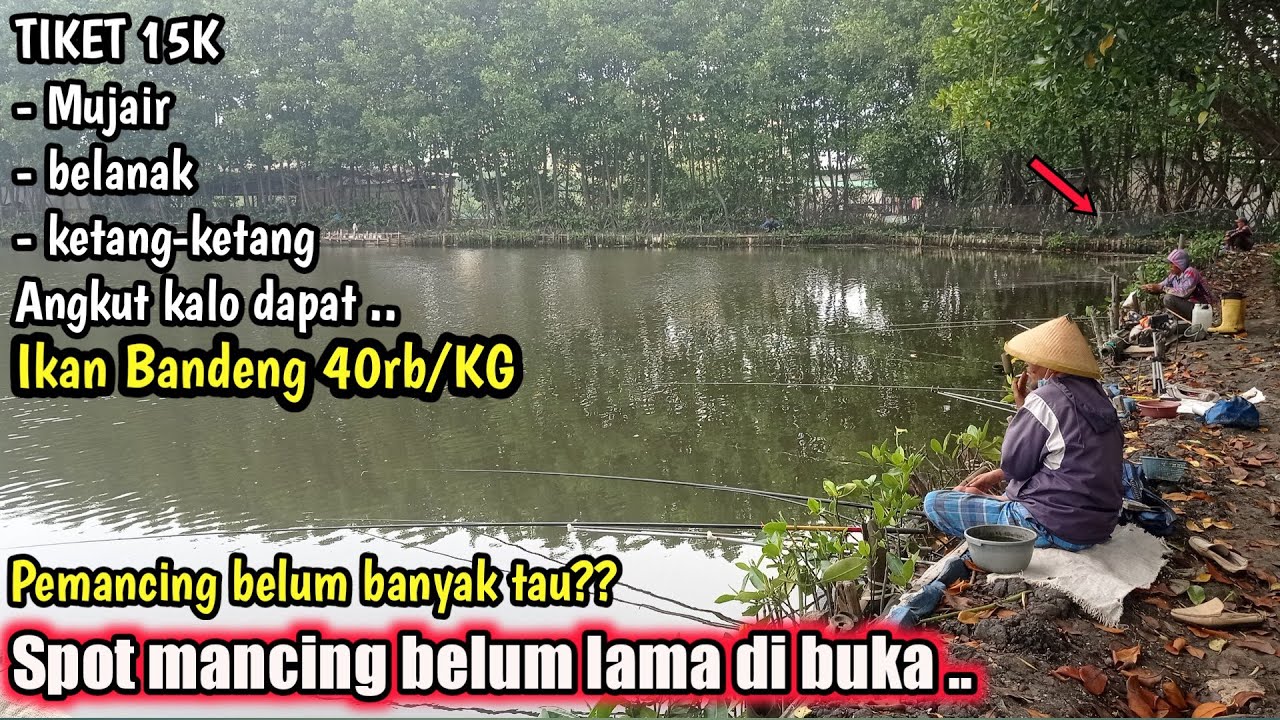 Perjalanan/rute ke spot mancing terbaru di marunda || Dapat banyak ikan di sini..!? - YouTube