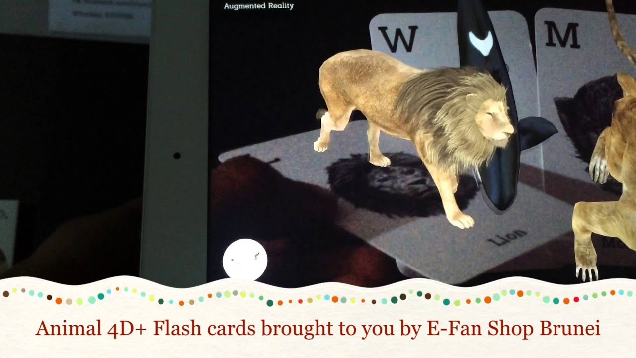 Animal 4D Flash Card - Exclusive video by E Fan Shop Brunei - YouTube