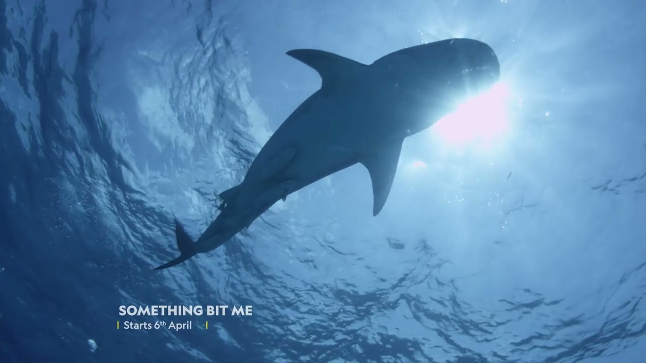 Something Bit Me - YouTube