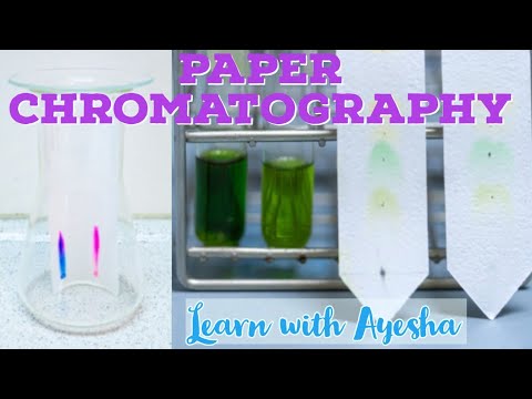 Paper Chromatography: Procedure and Real-World Applications" Rf value ...